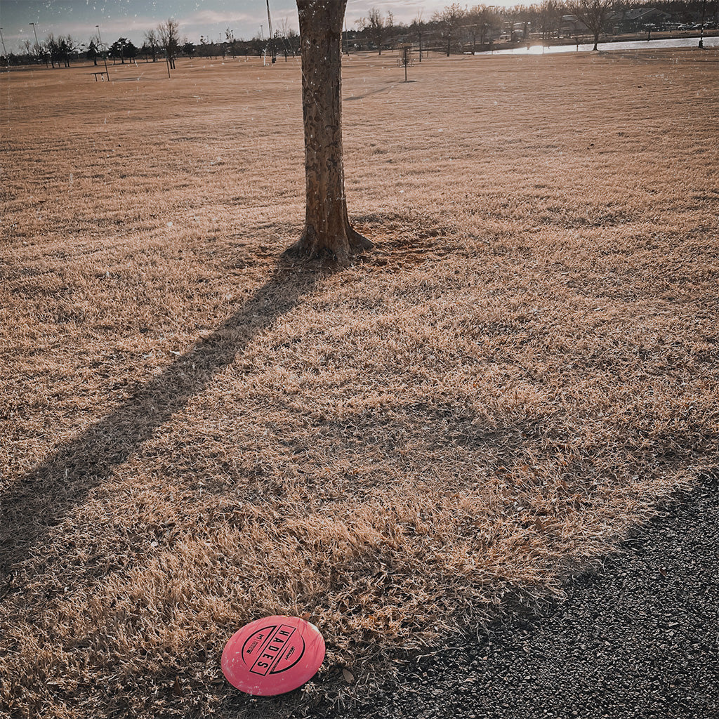 A Beginner's Guide To Disc Golf