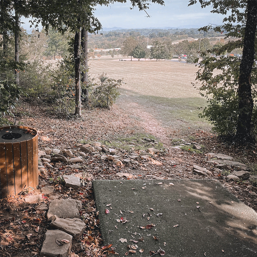 A Beginner's Guide To Disc Golf